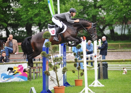 Zwei weitere Hengste qualifiziert für Warendorf | Niedersächsisches ...