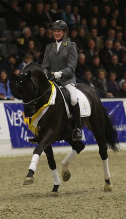 Auf zu den Hengstvorführungen! | Niedersächsisches Landgestüt