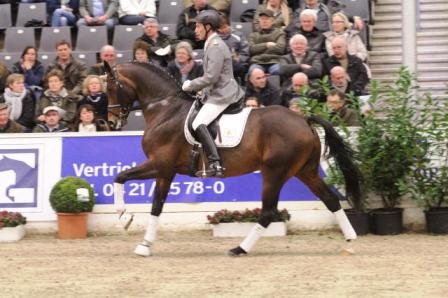 Ein gelungener Auftakt in Verden | Niedersächsisches Landgestüt