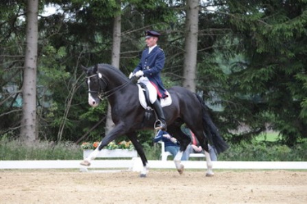 Grandioser Auftritt auf dem Hardenberg – Erster S-Sieg für Rascalino ...