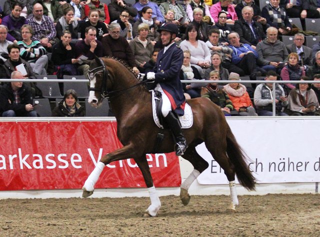 HENGSTE – die große Galashow der Equitana | Niedersächsisches Landgestüt